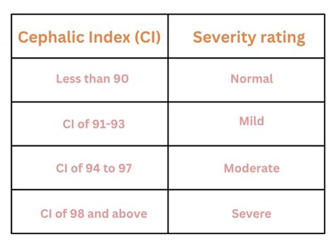 Brachycephaly 10 Things You Need To Know