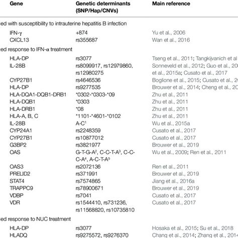 Host Genetic Factors Associated With Intrauterine Hepatitis B Infection