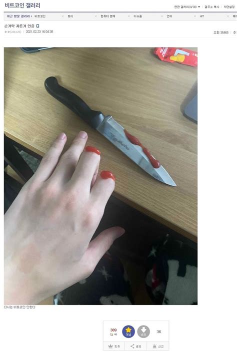 비트코인 갤러리 근황  Mlbpark