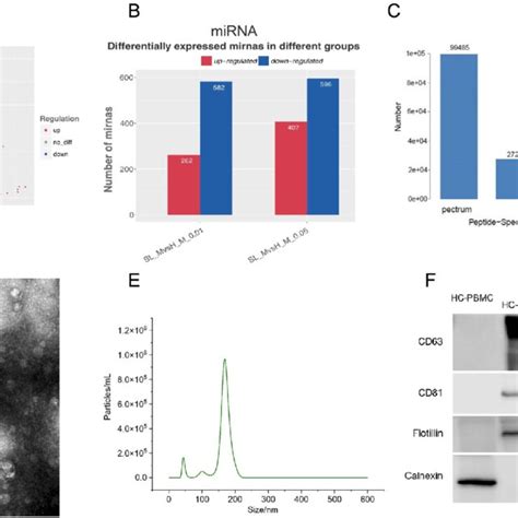 Go And Kegg Enrichment Analyses Of Proteins In Exosomes A Exosomal