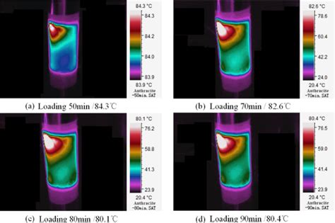 Three Dimensional Infrared Images Of Temperature Distribution On The Download Scientific