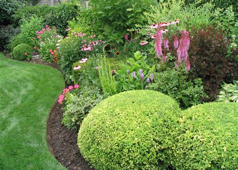 Common Landscaping Bushes Inspiring Landscaping Bushes And Shrubs Landscape Pictures Ideas