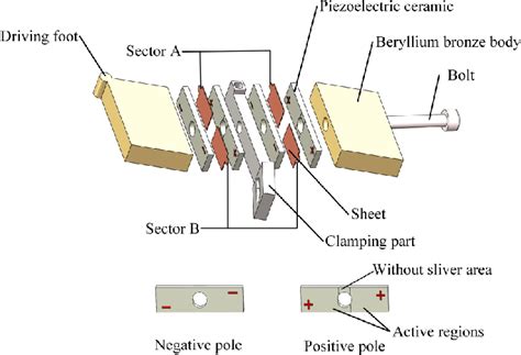 Structure Of The Stator Download Scientific Diagram
