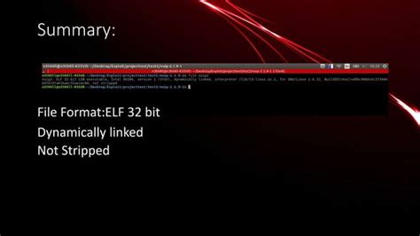 Noip2 Stack Buffer Overflow Ppt
