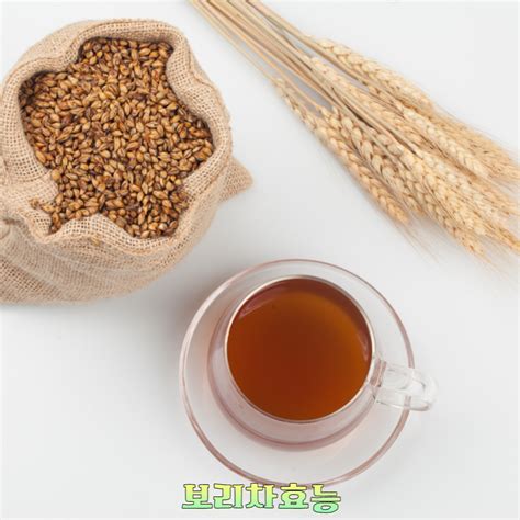 보리차 효능 영양성분 고르는법 부작용