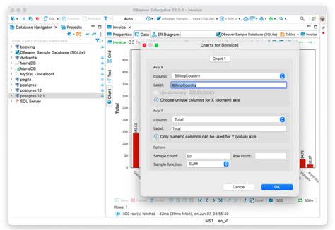 Dbeaver Tutorial Visualize Data With Dbeaver