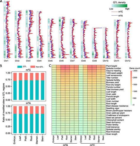 Identifying Rna Modifications By Direct Rna Sequencing Reveals Complexity Of Epitranscriptomic