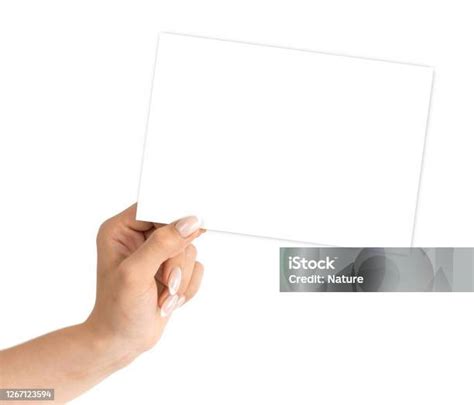 명함 템플릿입니다 흰색 배경에 격리 된 빈 명물 카드를 들고 손 디자인 텍스트 배치 복사 공간을 위한 레이아웃 및 모형 가상현실에 대한 스톡 사진 및 기타 이미지 Istock