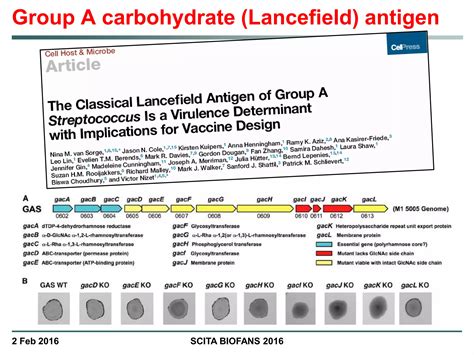 Systems Biology And Genomics Of Microbial Pathogens Ppt