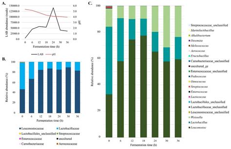 Lab Abundance In Coffee Fermentation In The Snsm A Total Lab Download Scientific Diagram