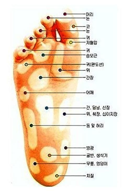 Korean Words Healthy Exercise Alternative Therapies Healty Healthy