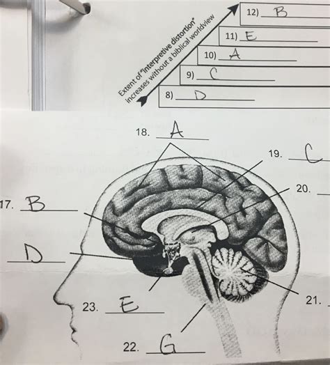 IPC Midterm Diagram Quizlet