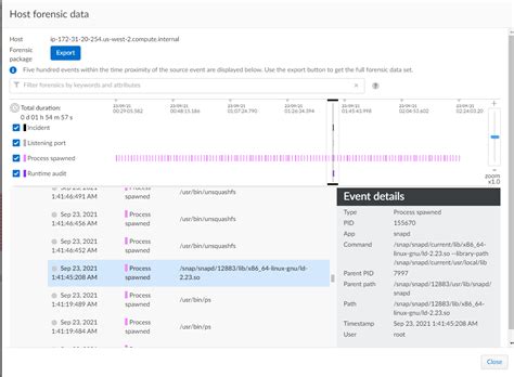 Container Runtime Protection Optiv
