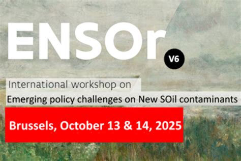 About Ensor V6 Website