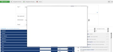 Windows Blank On Acl Button In Form View