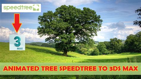 How To Export Animated Tree Speedtree To 3ds Max Tutorial Youtube