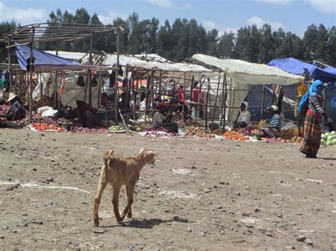 Top 10 Must Visit Tourist Places In Sendafa Tourist Places Guide