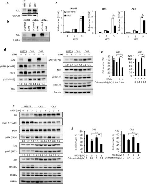 Axlcdcp1src Axis Confers Acquired Resistance To Osimertinib In Lung