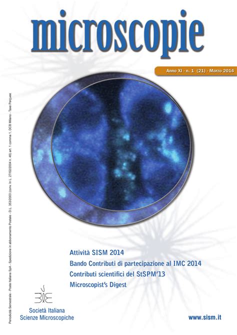Pdf Custom System For Single Molecule Force Spectroscopy