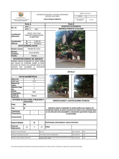 Ficha Arbol Seco Pdf Entorno Natural