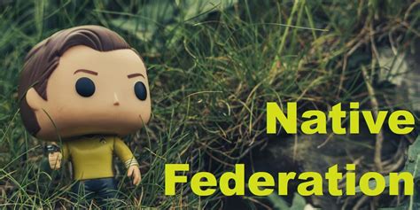 micro frontends with native federation 🍿 dev community