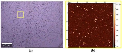 The Chemistry Of Polydopamine Film Formation The Amine Quinone