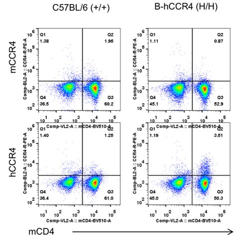 靶向免疫治疗“黄金搭档” 趋化因子ccr家族