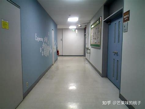 Colmapopenmvs实验 知乎