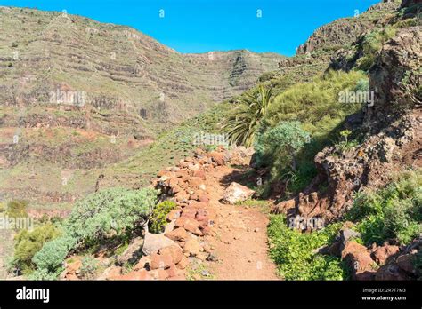 Hiking On La Gomera In The Mountains Of The Valle Gran Rey On The