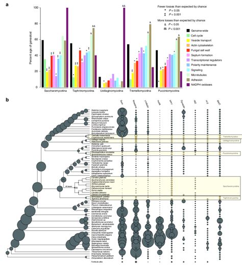 真菌基因组研究高分策略（一）：比较基因组揭示真菌菌丝和多细胞的起源 知乎