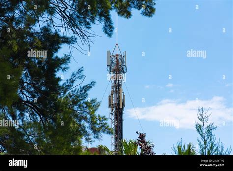Communications Tower With Telephone And Wi Fi Antennas Between Tree Branches Concept Of