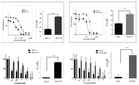 Levels Of Her Expression In Breast Cancer Cell Lines With Acquired Download Scientific Diagram