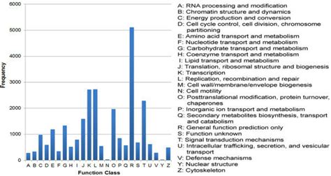 COG Function Classification All The Unigenes Aligned In COG Database Download Scientific