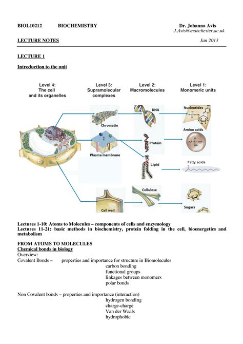 Biochem Handout BIOL BIOCHEMISTRY LECTURE NOTES Dr Johanna Avis J Manchester Ac Jan
