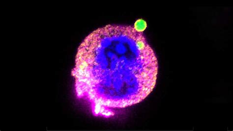 科研进展 西湖大学