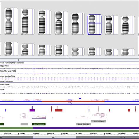 Results Of The Microarray Analysis Download Scientific Diagram