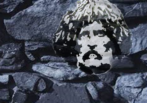 ვაჟა ფშაველა ალუდა ქეთელაური 1tv ლიტერატურული თეატრი