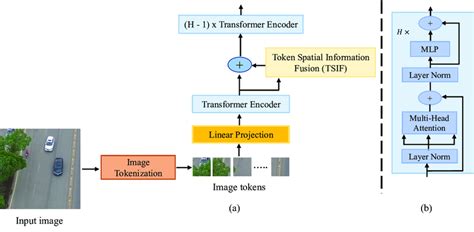 A Overview Of An Encoder Network Design It Consists Of Linear