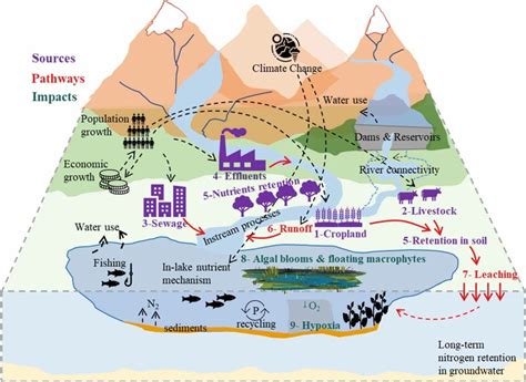 Schematic Overview Of Main Nutrient Sources The Purple Color Download Scientific Diagram