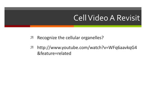 Cell Organelles Ppt