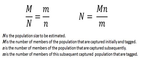 Mathematic New Gcse Capture Recapture