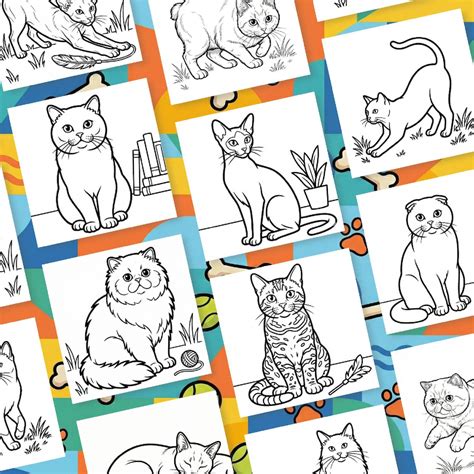 Cat Breeds Coloring Book Printable Cute Cats Coloring Pages Bold