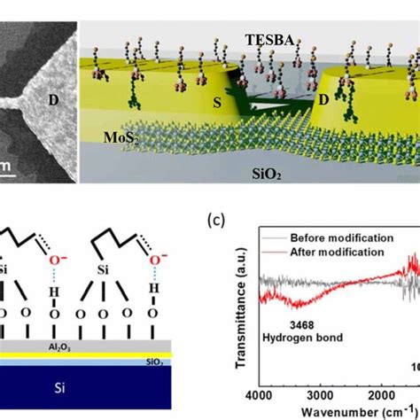 Device Structure And Formation Of Self Assembled Molecules A Left