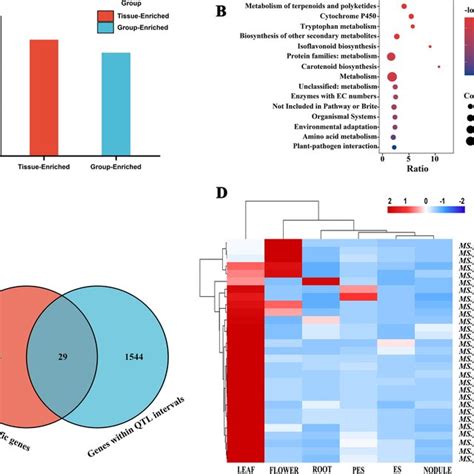 Leaf Specific Genes Within Qtl Regions A Number Of Leaf Enriched Genes