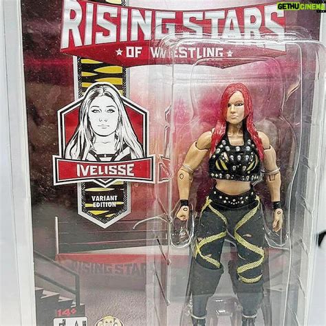 Ivelisse Vélez Wiki Biography Age Gallery Spouse And More