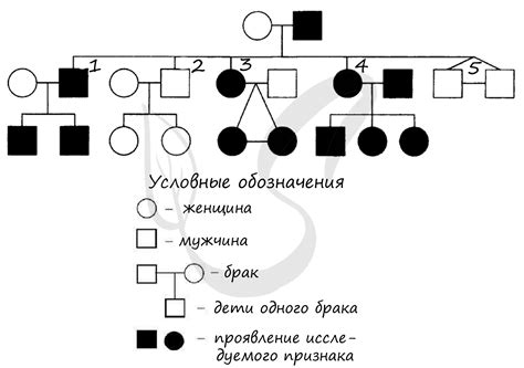 По родословной человека установите характер наследования признака доминантный или рецессивный