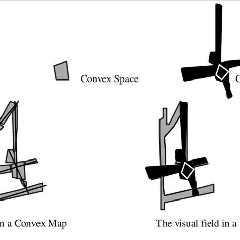 Convex Axial And Visual Field In Syntactic Representation The Model
