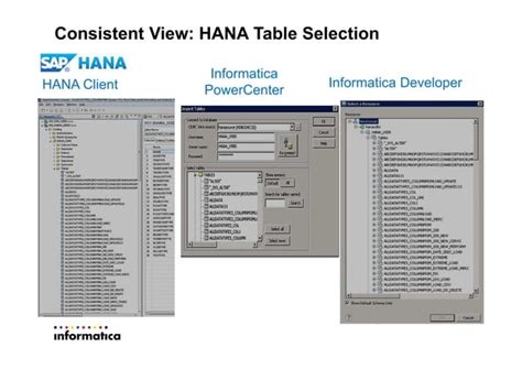 Sap Hana Data Integration Using Informatica Pdf