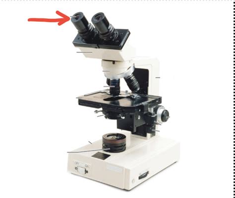 Microscope Flashcards Quizlet