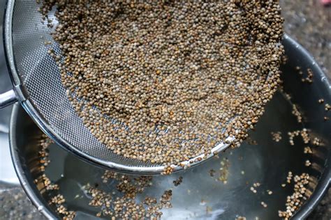 들깨가루 만드는법 통들깨볶기 통들깨볶는방법 집에서 들깨 볶는 방법